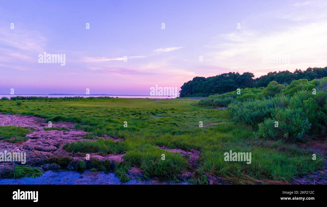 A beautiful view over a marshland with an ocean in the background under ...