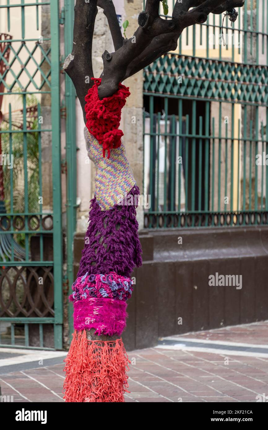 A tree trunk dressed with woven fabric of different colors as ...