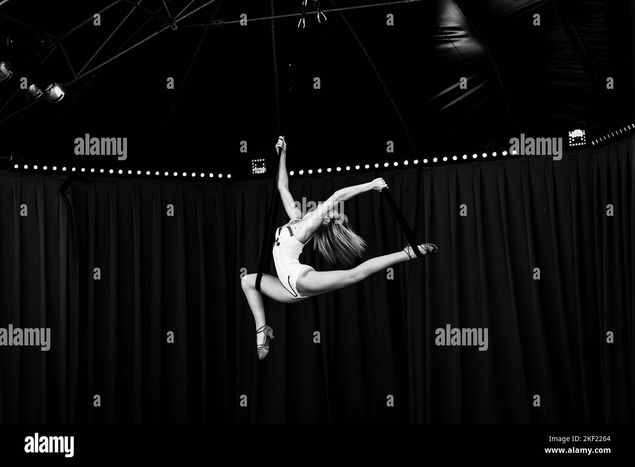 A black and white elegant portrait of a circus entertainer hanging up ...