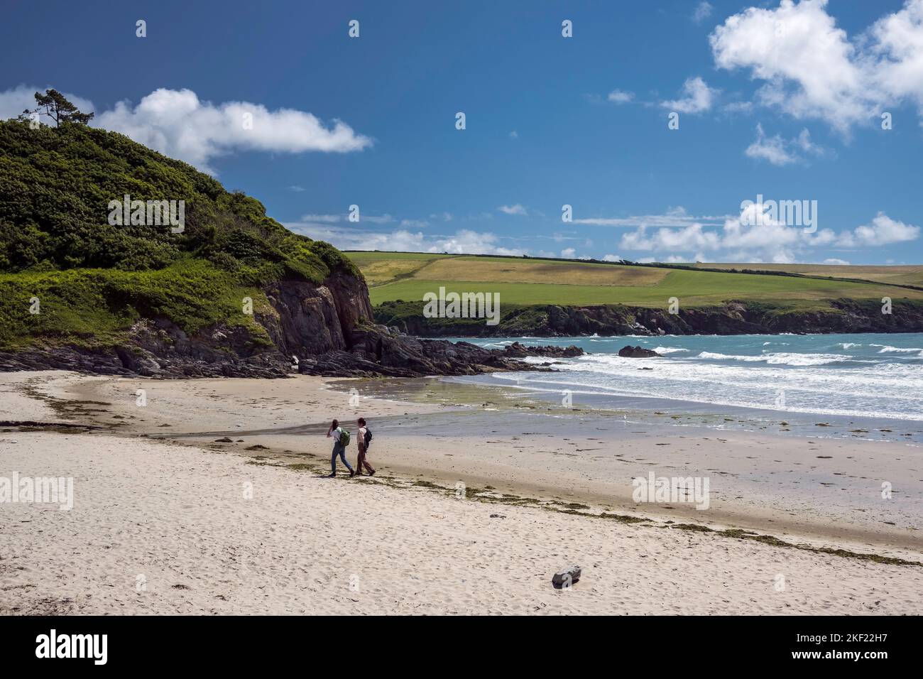 Friend walks on the beach at Mothecome, Devon UK Stock Photo - Alamy