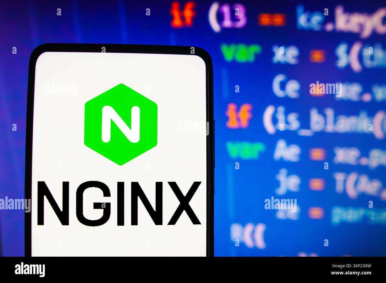 Nginx Logo