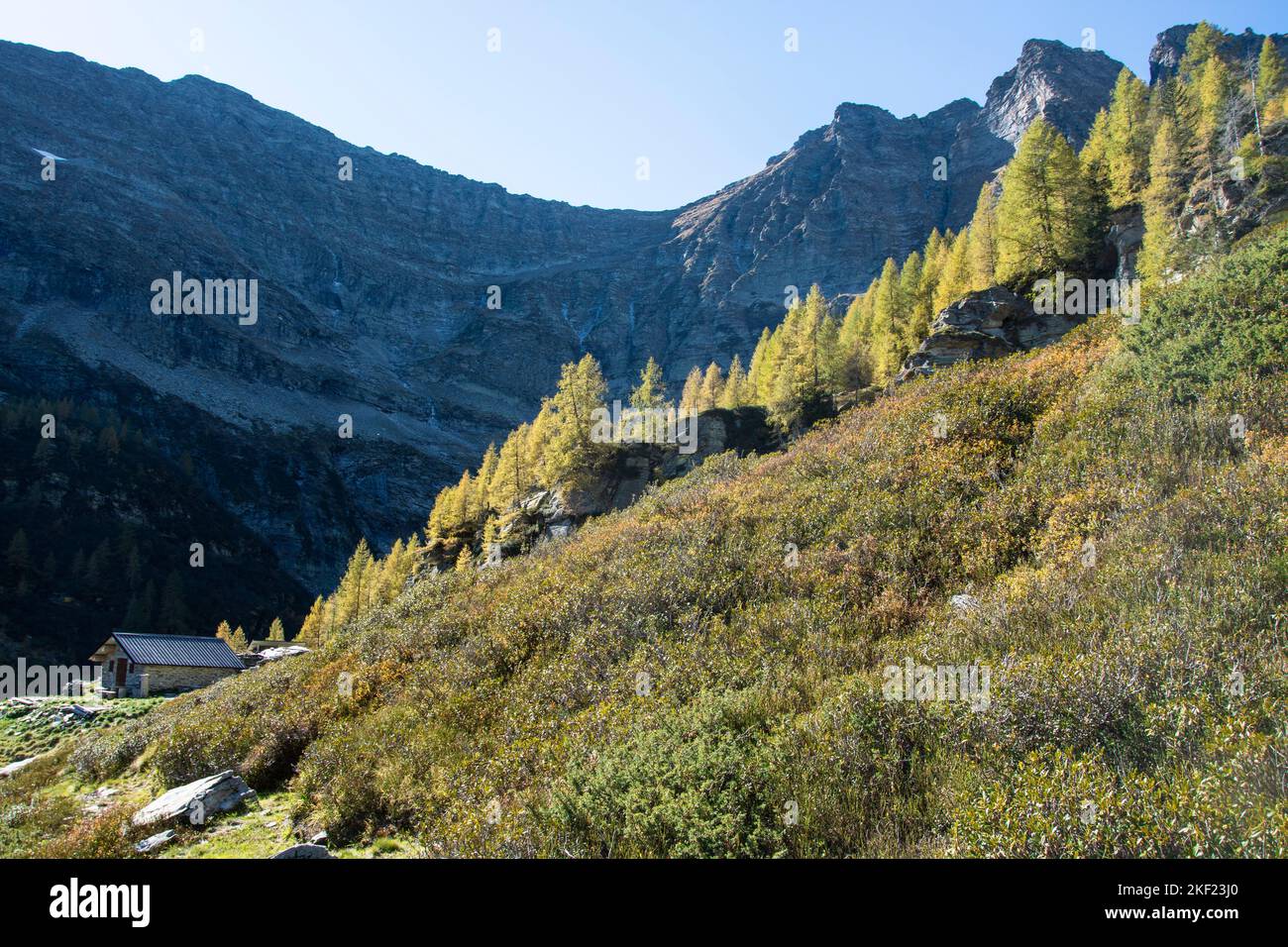 Nedro hi-res stock photography and images - Alamy