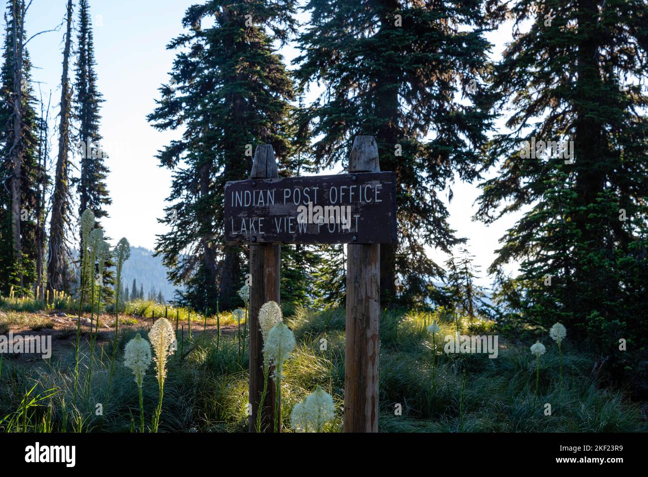 Morning at Indian Post Office, along the Lolo Trail, Clearwater ...