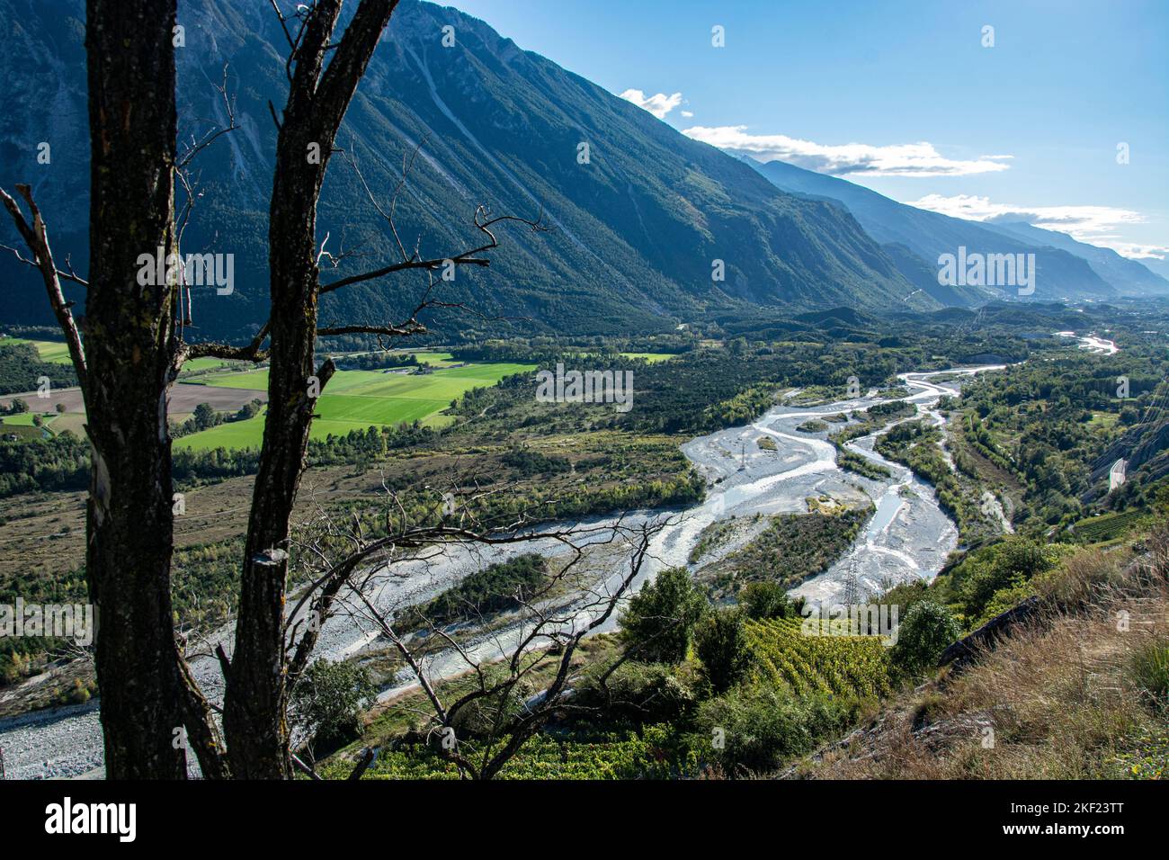 Die ungezähmte Rhone beim Walliser Pfynwald Stock Photo - Alamy
