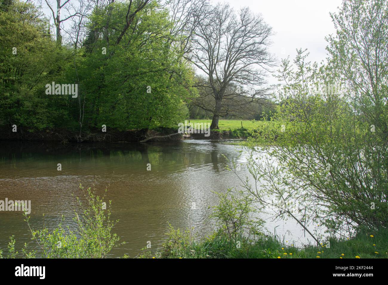 Die Ognon, einer der wildesten Flüsse von Frankreich, durchfliesst die ...