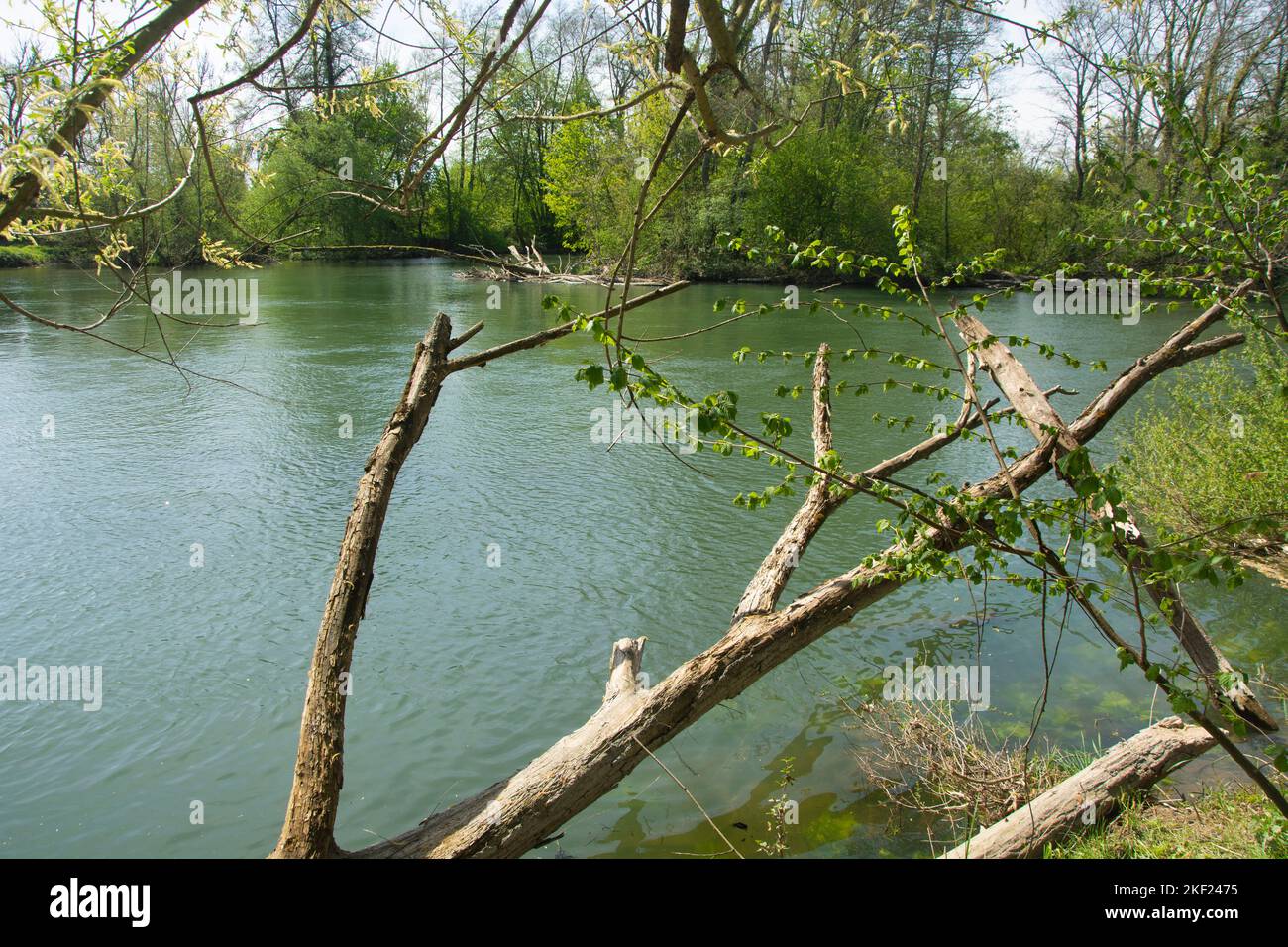 Die Ognon, einer der wildesten Flüsse von Frankreich, durchfliesst die ...