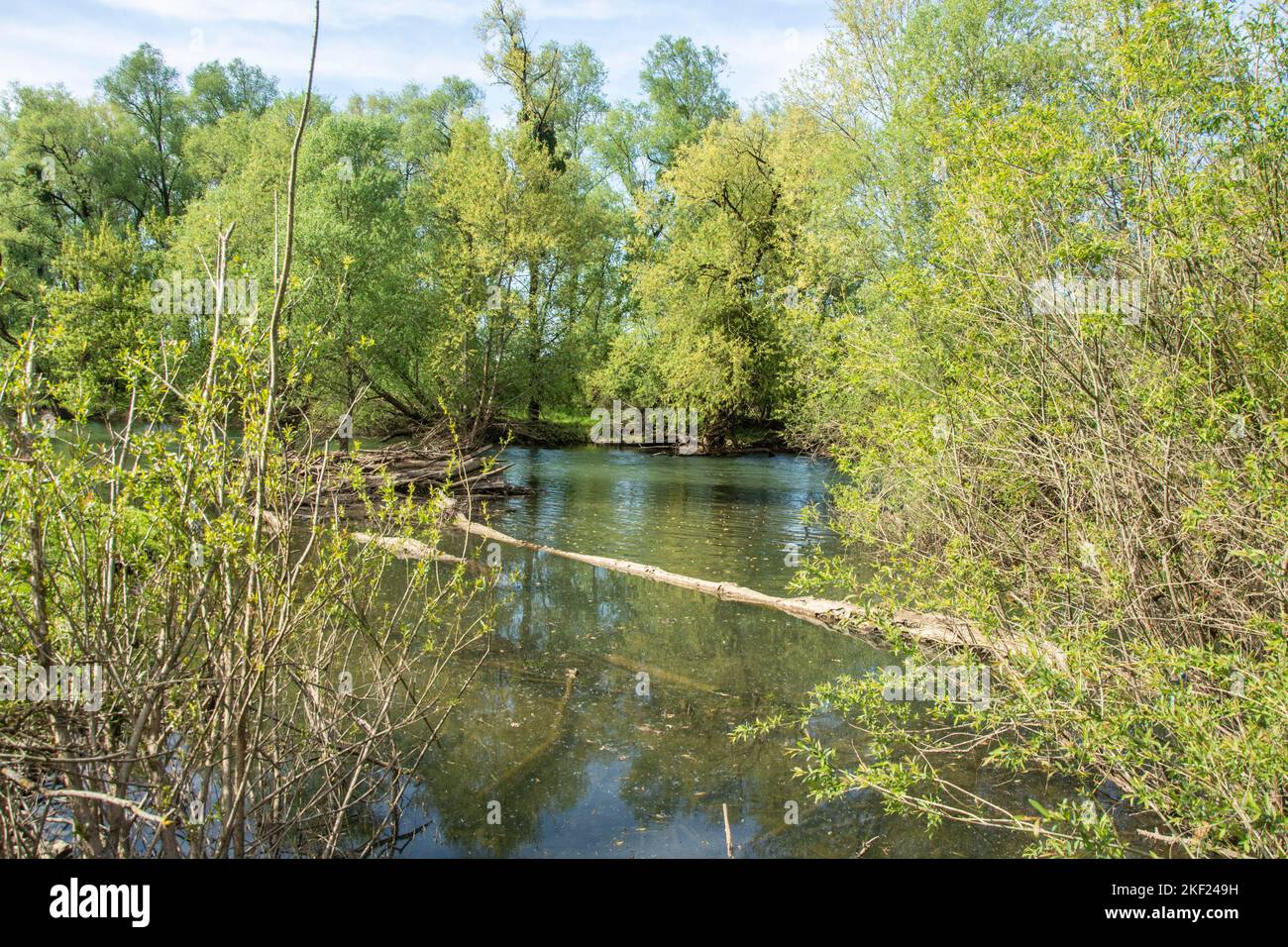 Die Ognon, einer der wildesten Flüsse von Frankreich, durchfliesst die ...