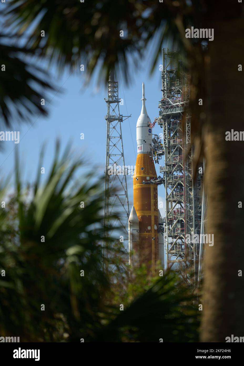 Space launch system trees hi-res stock photography and images - Alamy