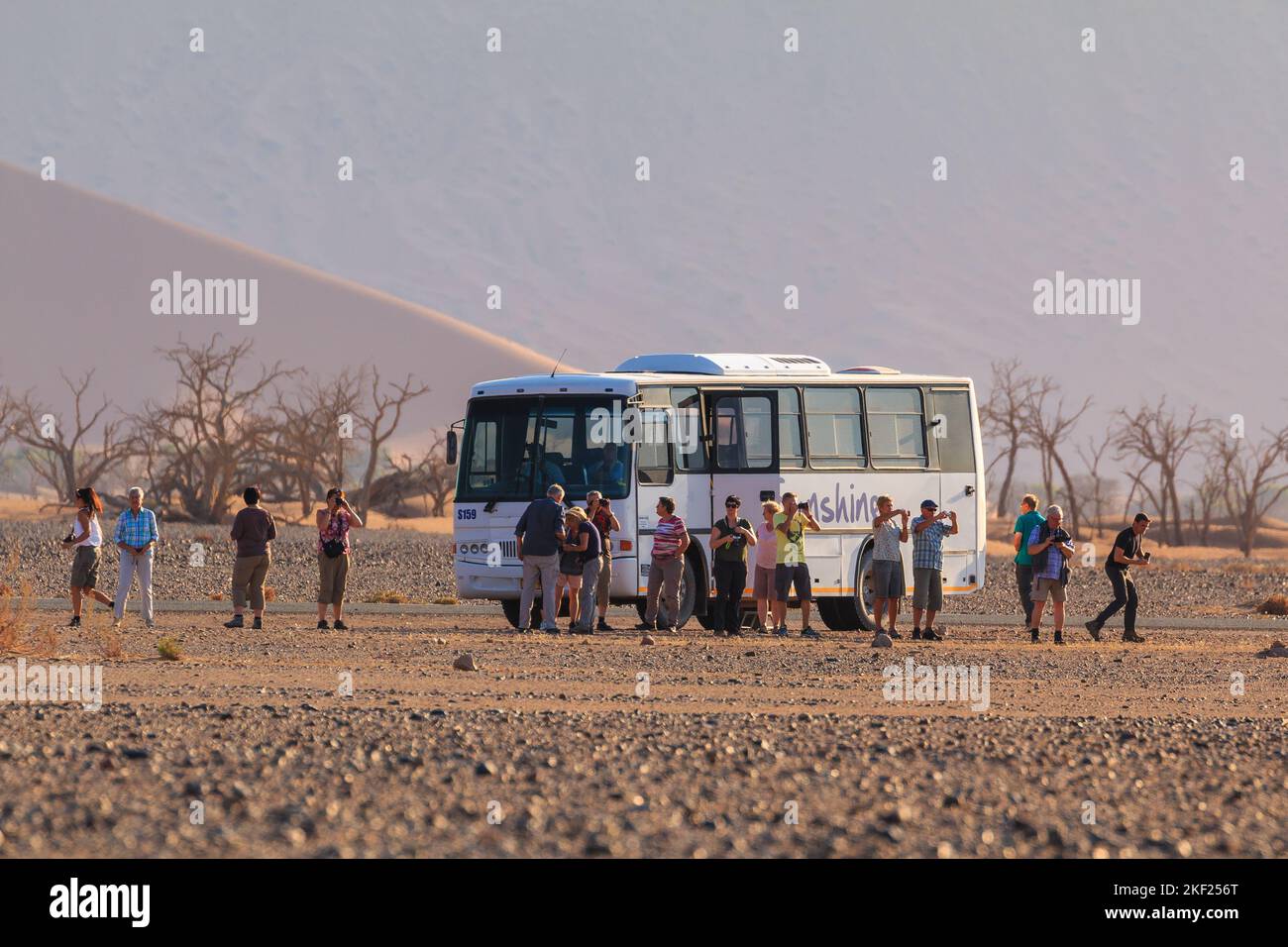 Parking lot shuttle bus hi-res stock photography and images - Alamy