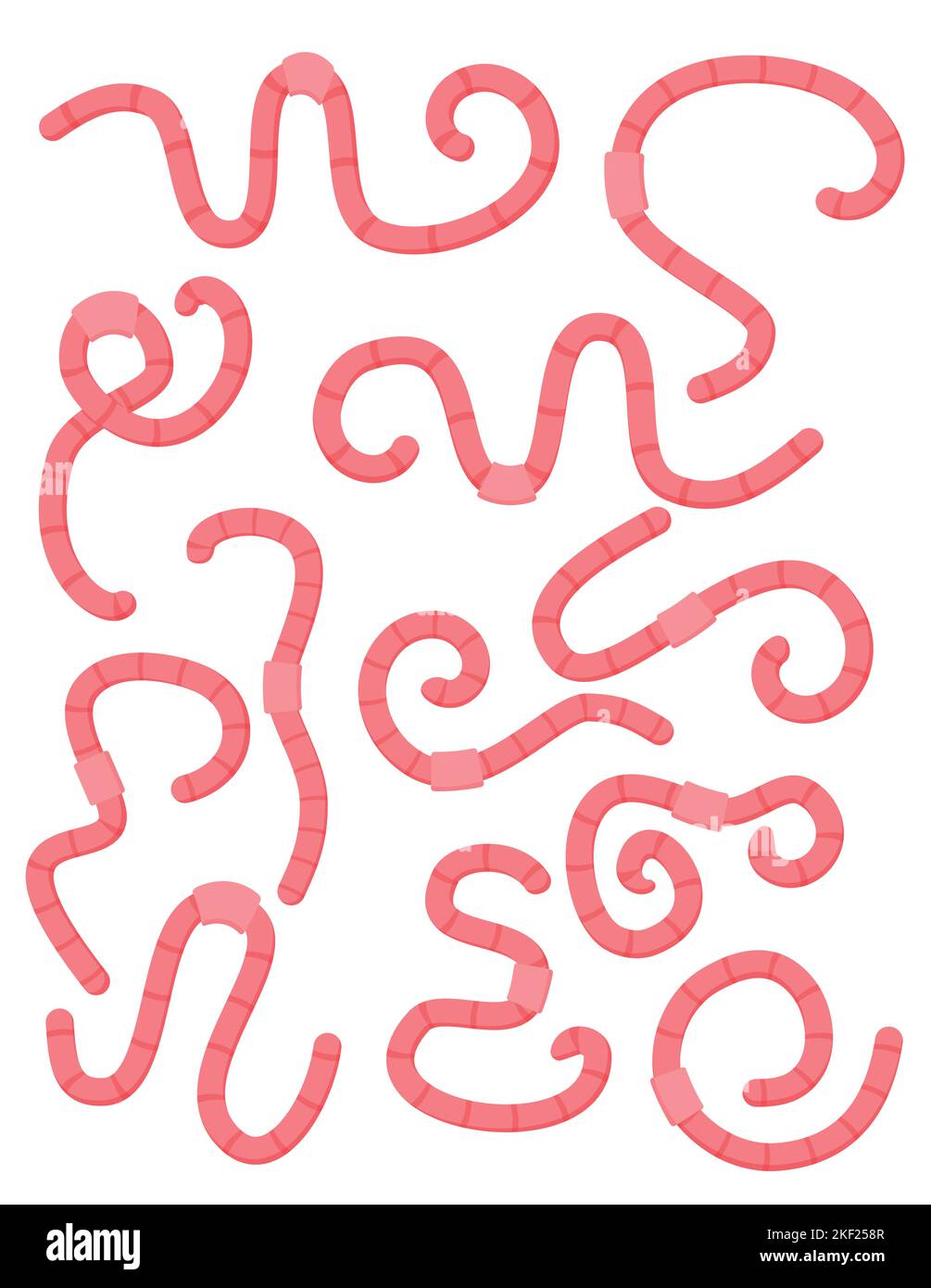 Cartoon pink worms set. Curled wiggling pests or earthworms isolated on ...