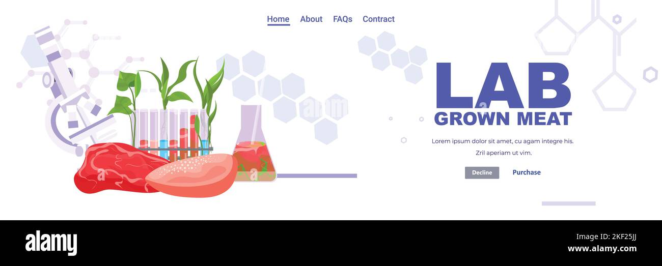 cultured raw meat with microscope laboratory accessories measuring ...