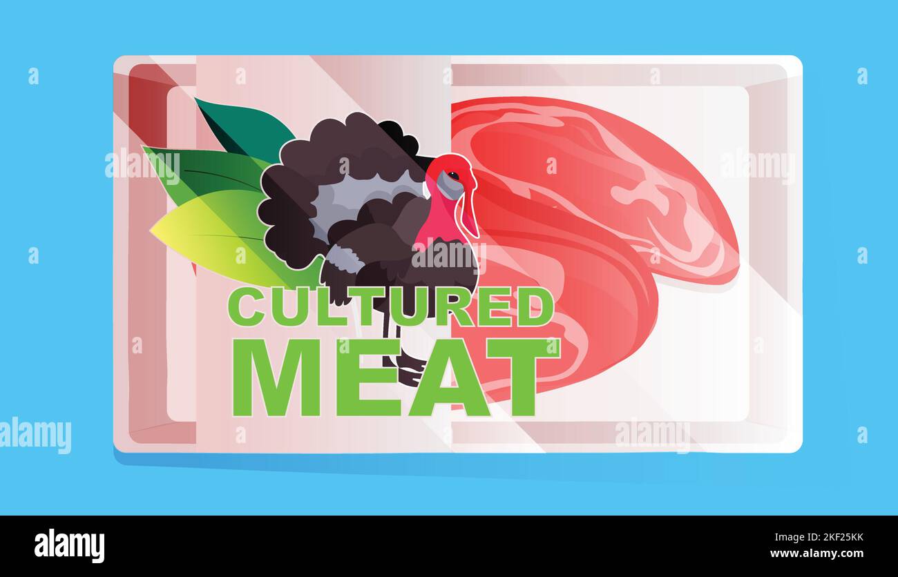 frozen pacded cell cultured turkey meat with label artificial lab grown ...