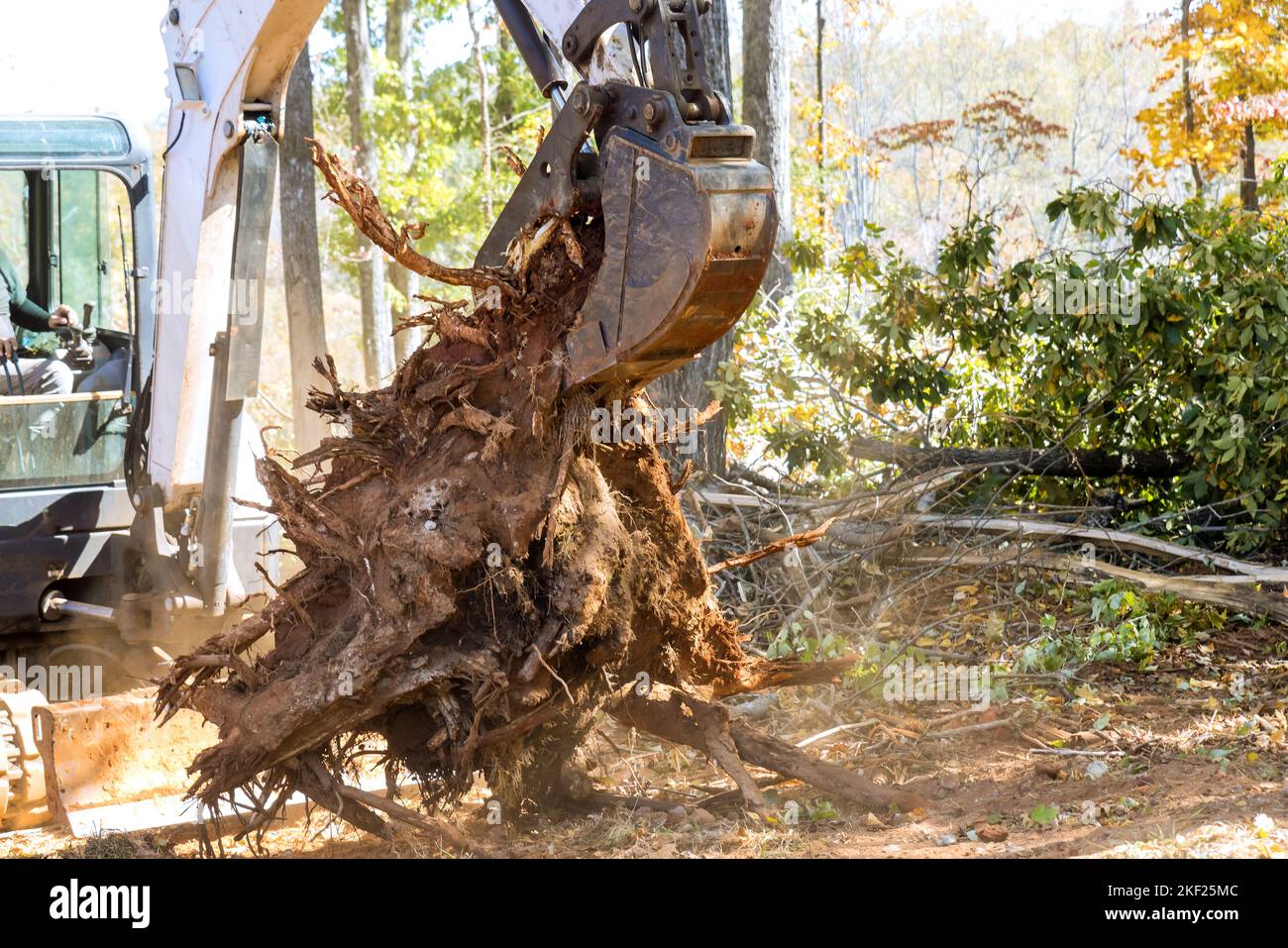 During deforestation landscaping work ground is prepared with tractor ...