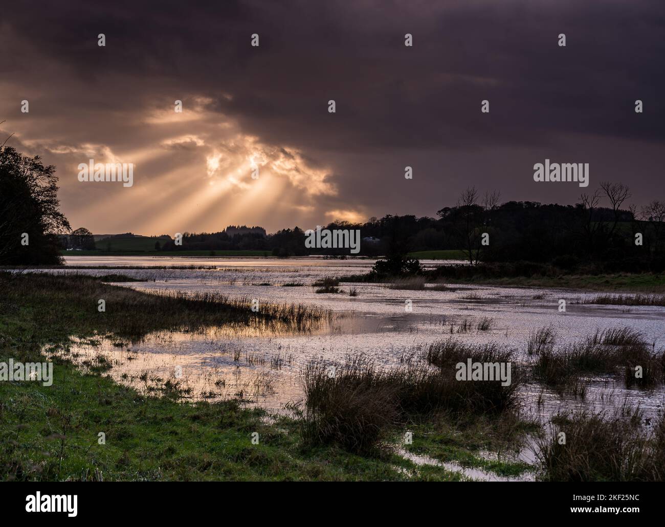 Crepuscular Rays of National Trust for Scotland, Threave Wetlands Stock ...