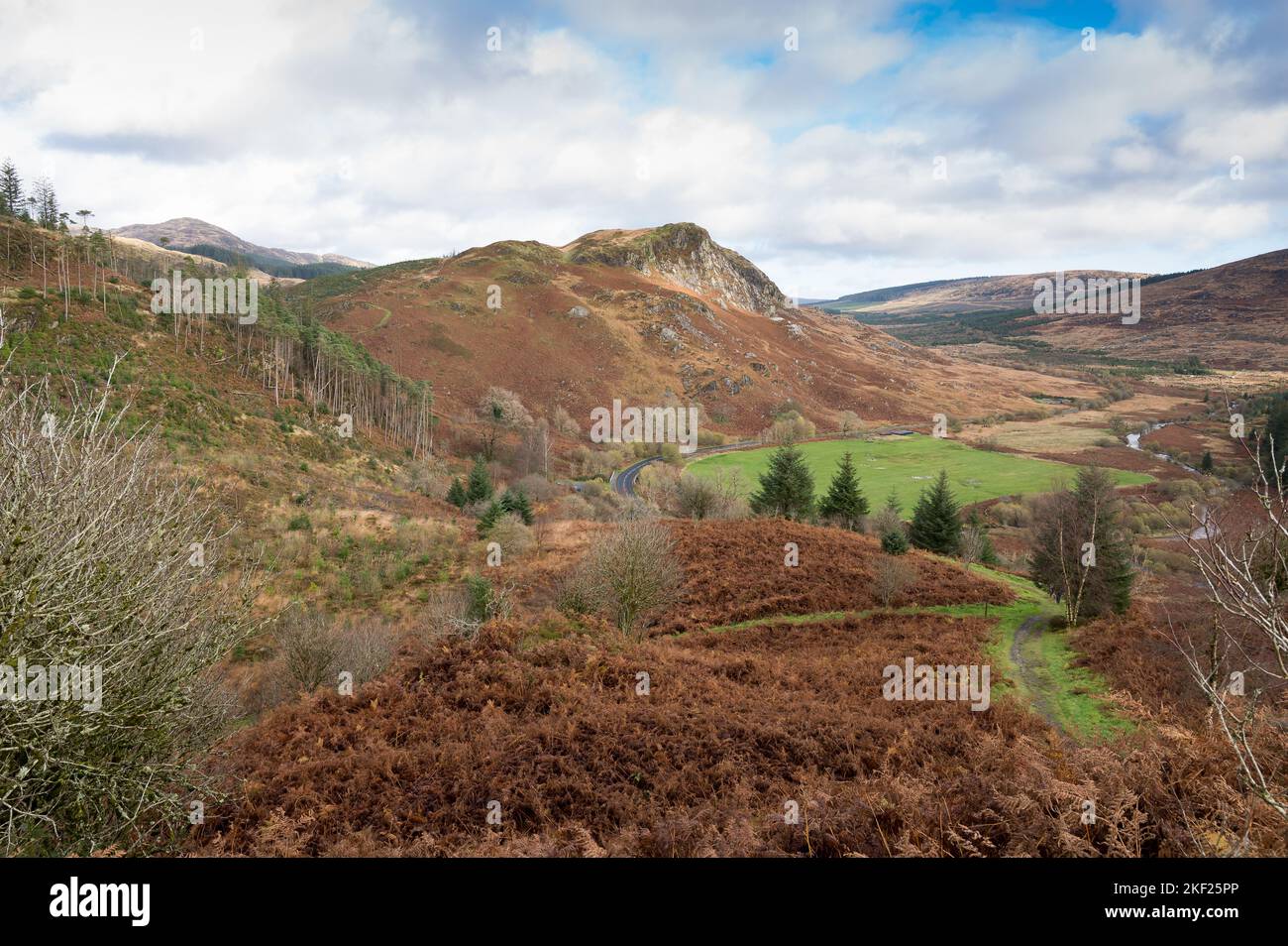 Queens way and galloway forest park hi-res stock photography and images ...