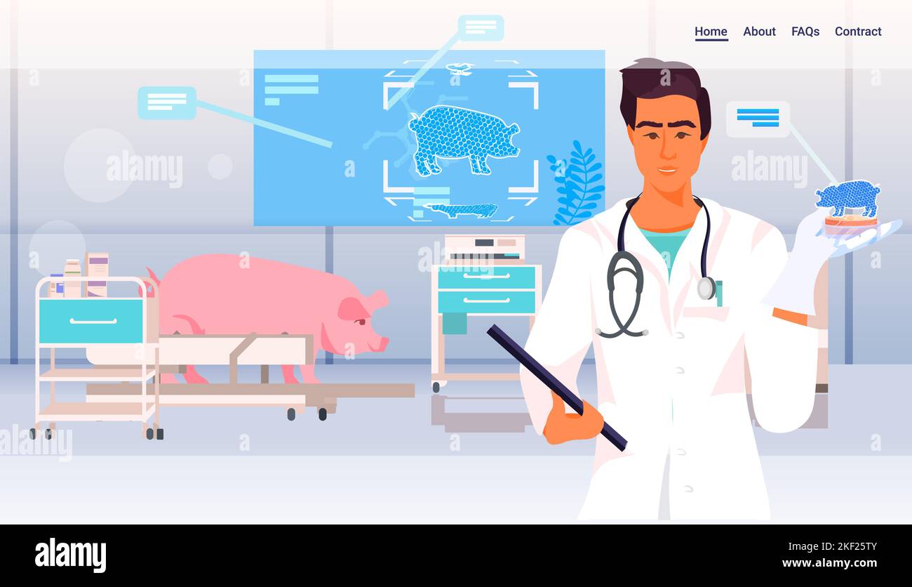 scientist analyzing dna of cultured pork meat on tablet pc screen ...