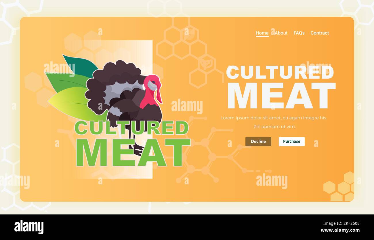 cell cultured turkey meat artificial lab grown meat production concept ...