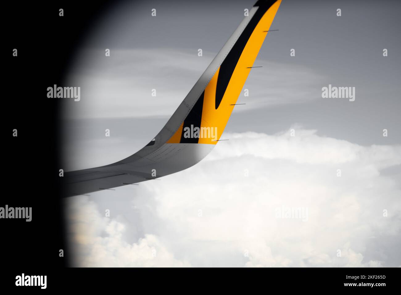 A wing shot of the Tiger Airline airplane A320 view from the window ...