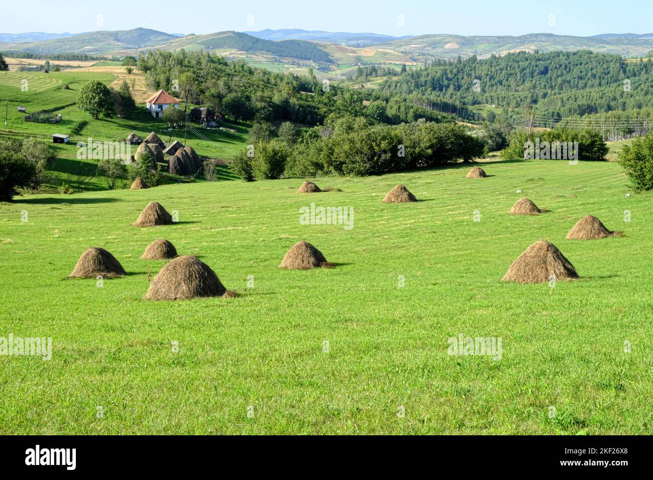 Green field haystacks hi-res stock photography and images - Alamy