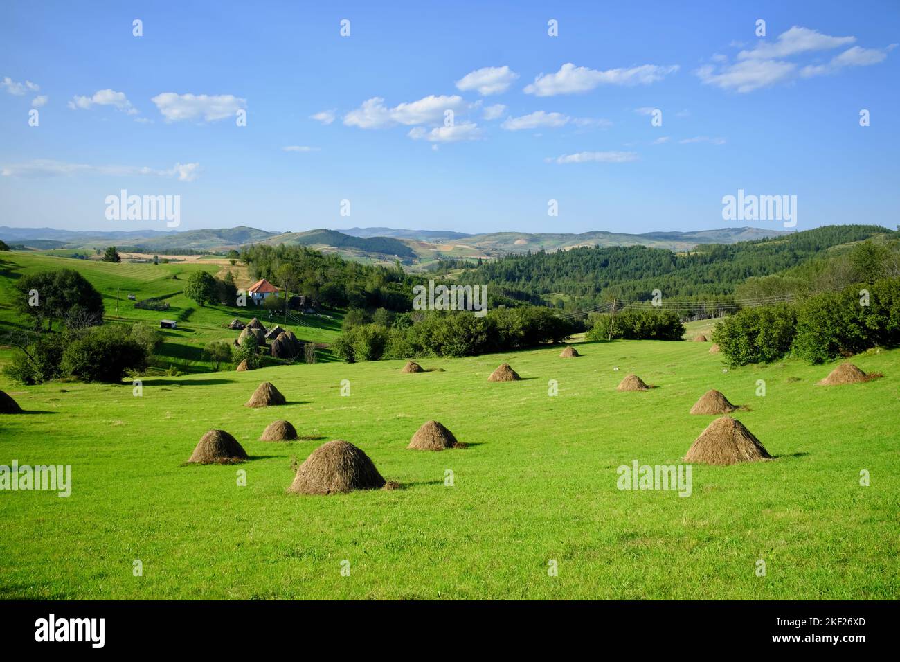 meadow with haystacks in Serbia (2 Stock Photo - Alamy
