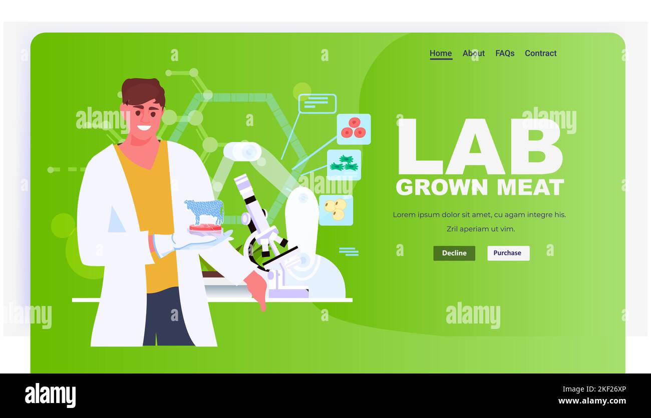 scientist analyzing cultured red raw meat made from animal cells ...