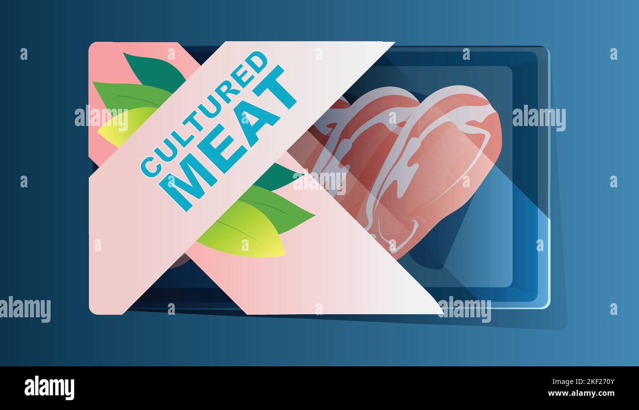 frozen pacded cell cultured chicken meat with label artificial lab ...