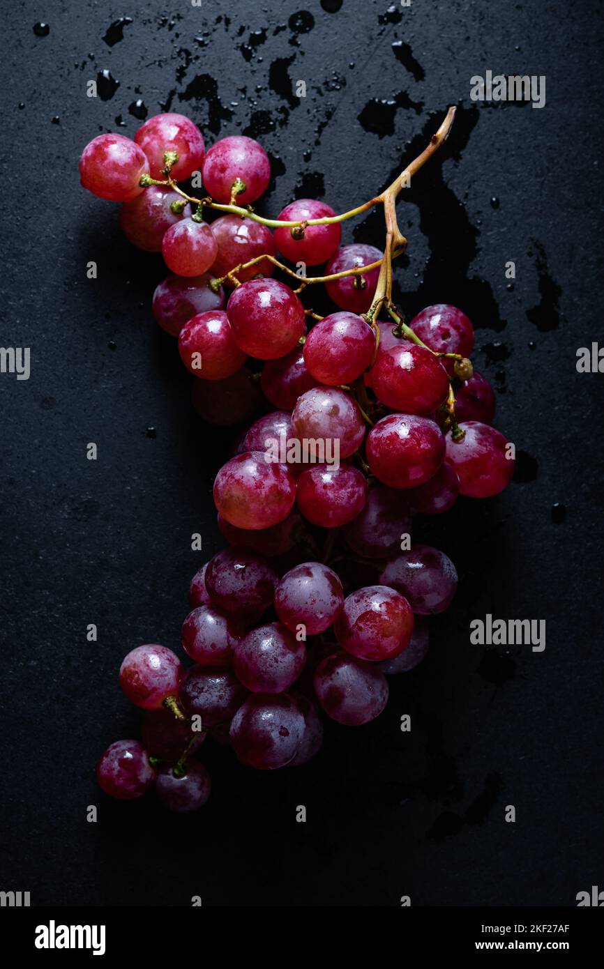 Dark red branch hi-res stock photography and images - Alamy