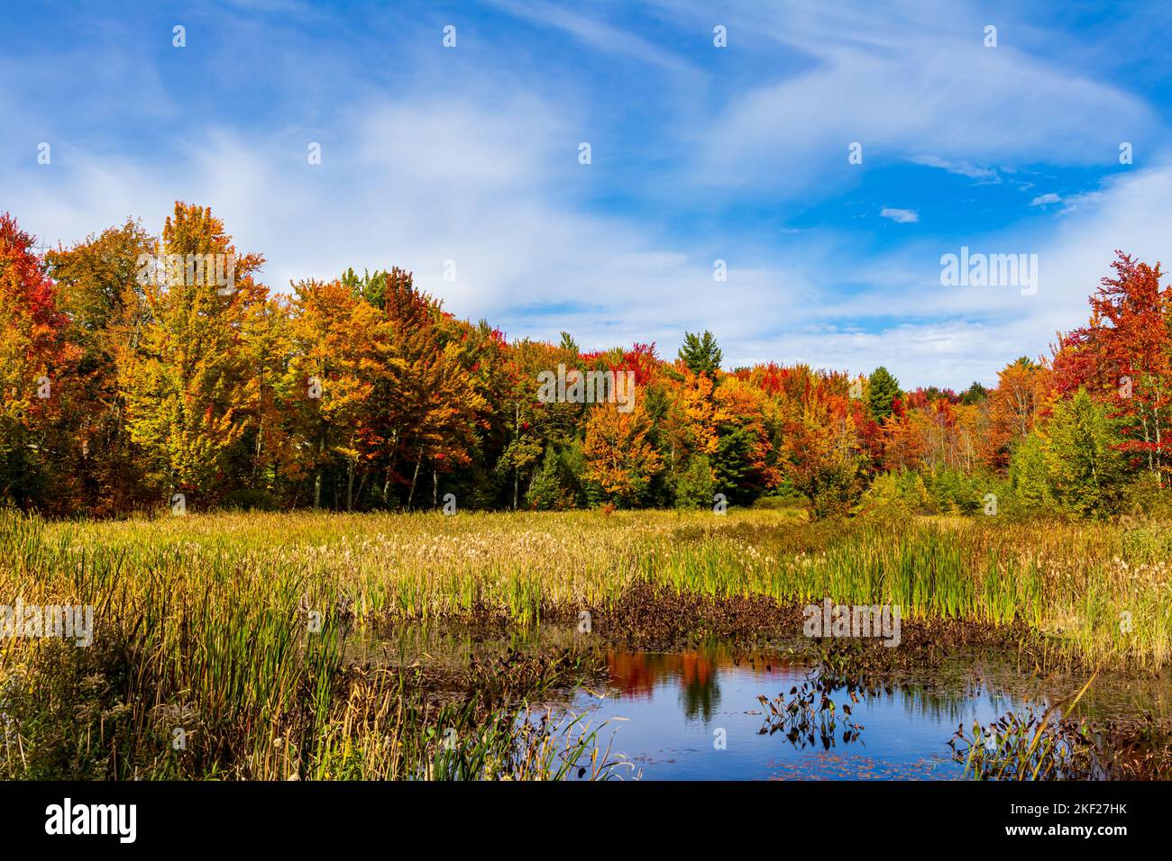 beautiful meadow off the road with fall colors at peak Stock Photo - Alamy