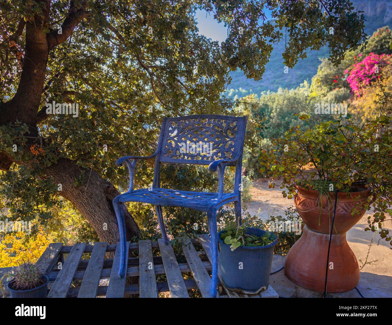 Calmness and nature concept. Being alone with nature. An iron chair in ...