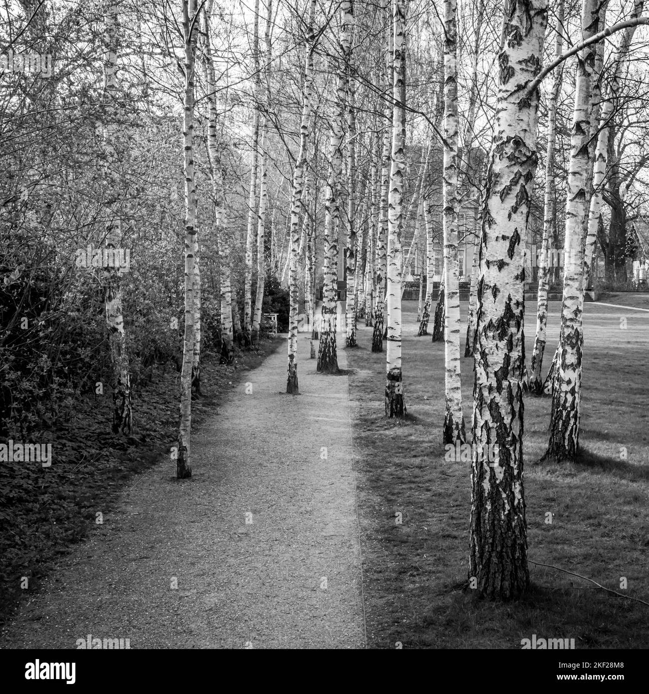 A greyscale shot of a beautiful park in Berlin, Germany Stock Photo - Alamy