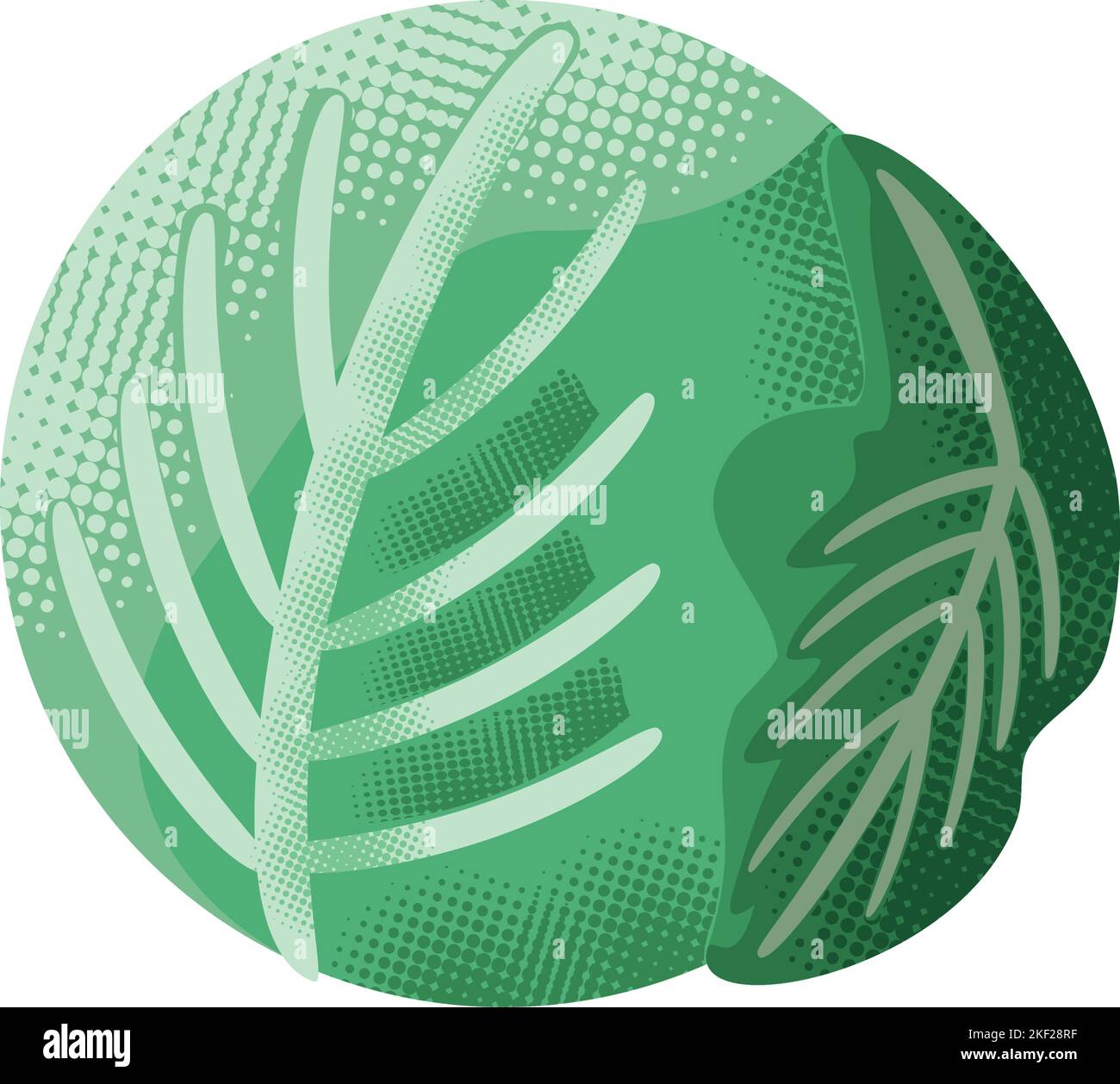 lettuce vegetable icon Stock Vector Image & Art - Alamy