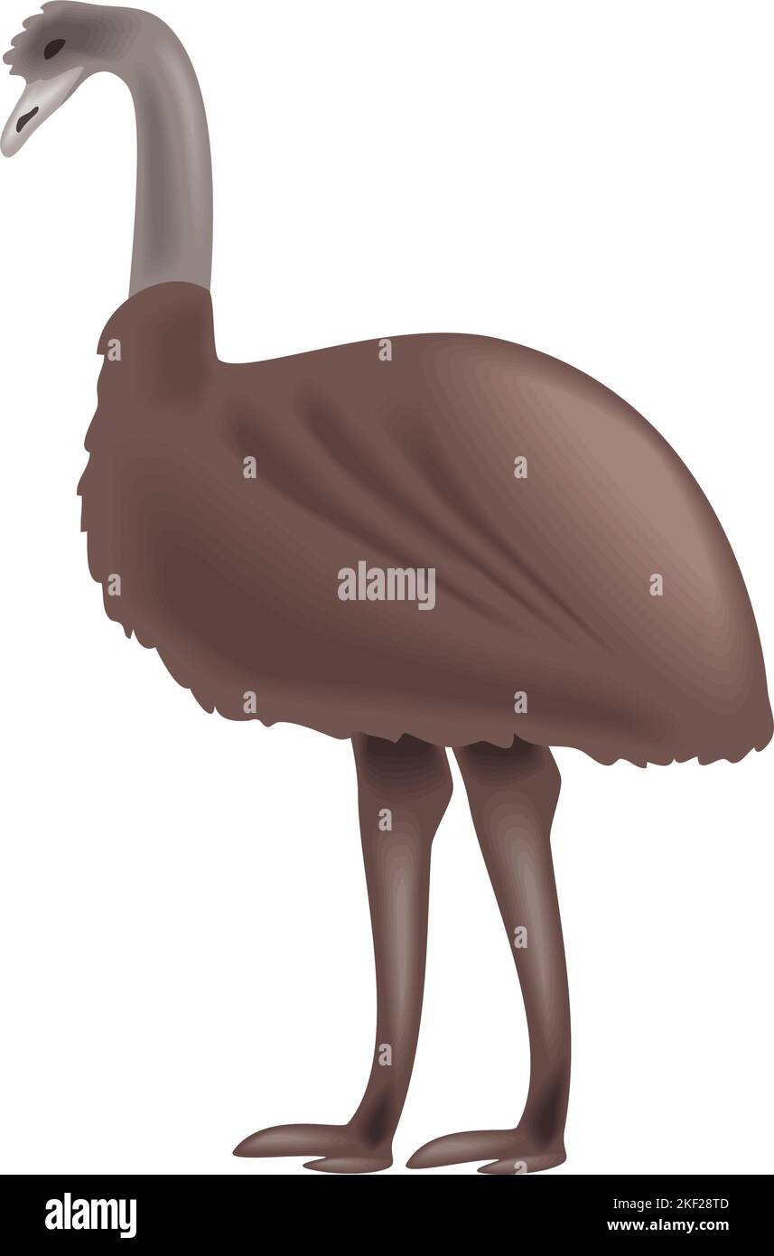 emu animal icon Stock Vector Image & Art - Alamy