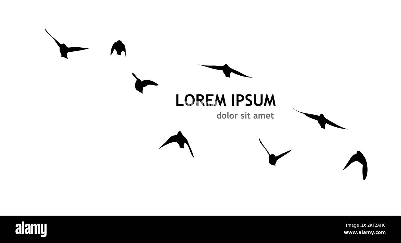 A flock of flying birds. Free birds logo. Vector illustration Stock ...