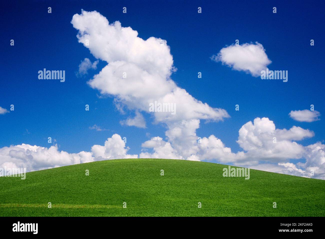 2000s WHITE CLOUDS BILLOWING IN A BLUE SKY OVER A GREEN GRASS COVERED ...