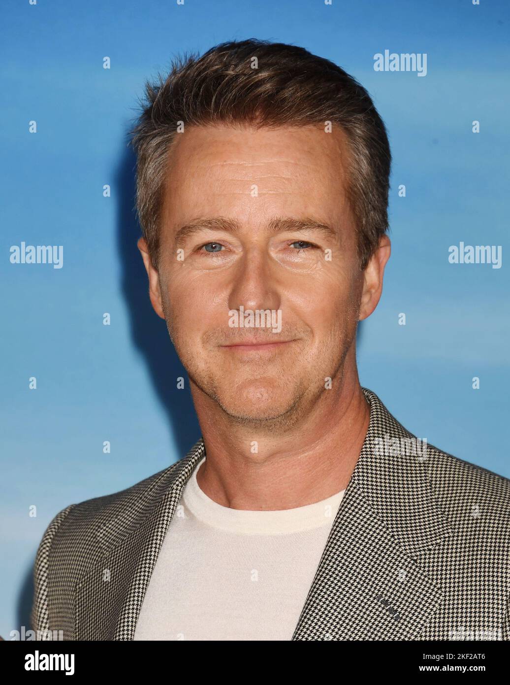 Los Angeles, California, USA. 14th Nov, 2022. Edward Norton attends the ...