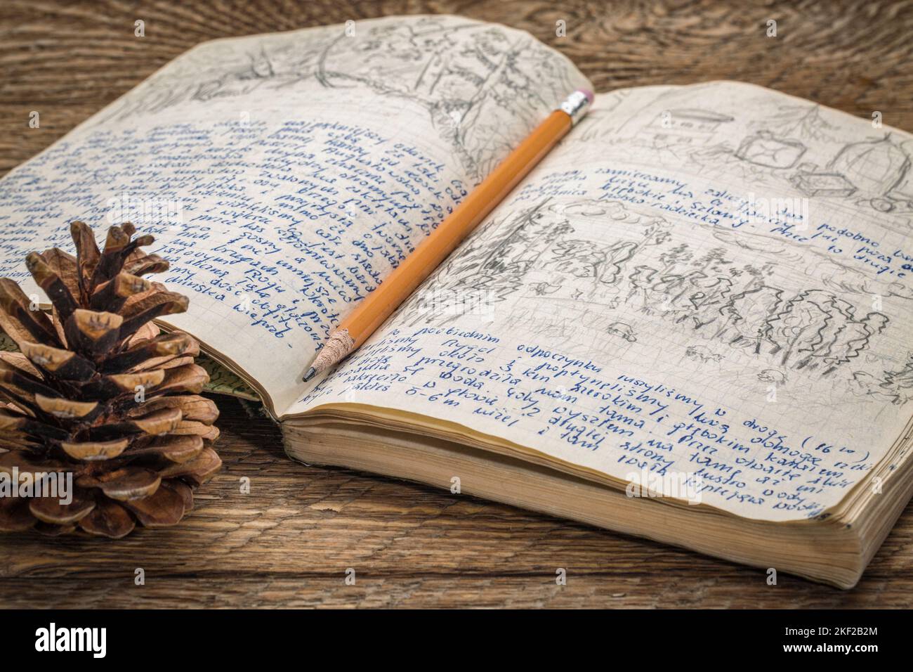 Kayak expedition journal with a pine cone on a rustic picnic table ...