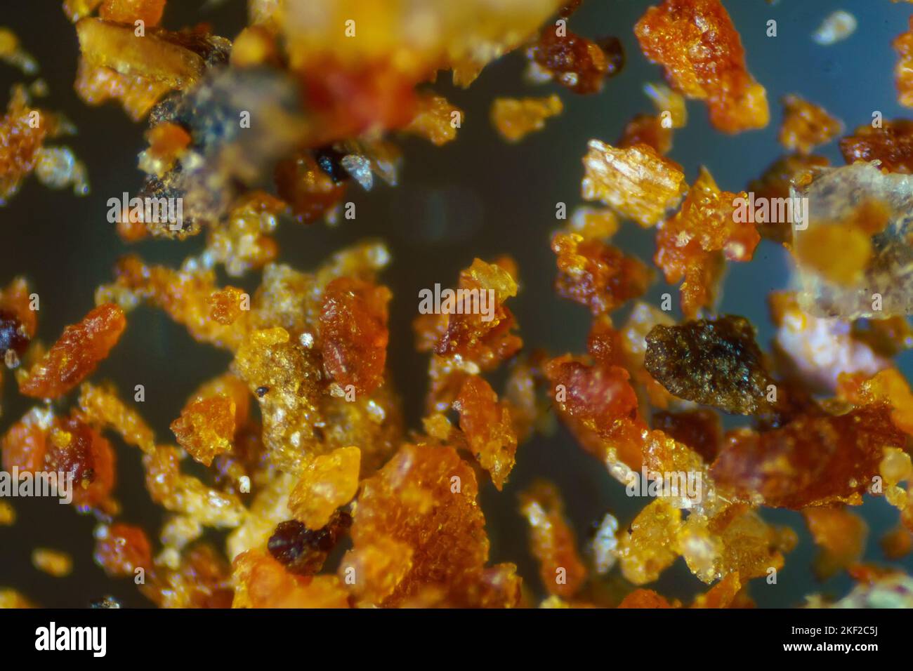 The Microscopic World. Kitchen seasoning with red pepper Stock Photo ...