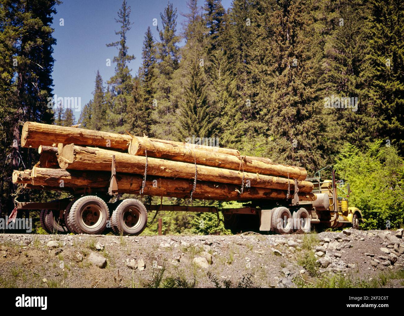 Logging Trucks In Oregon