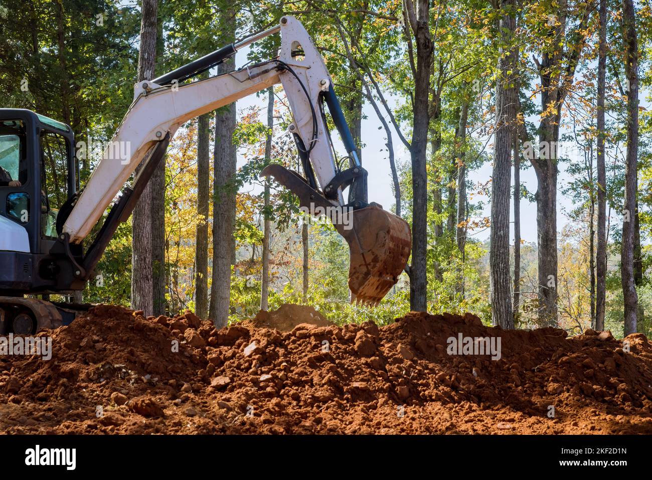 On construction site near forest bucket of an excavator digs up land ...