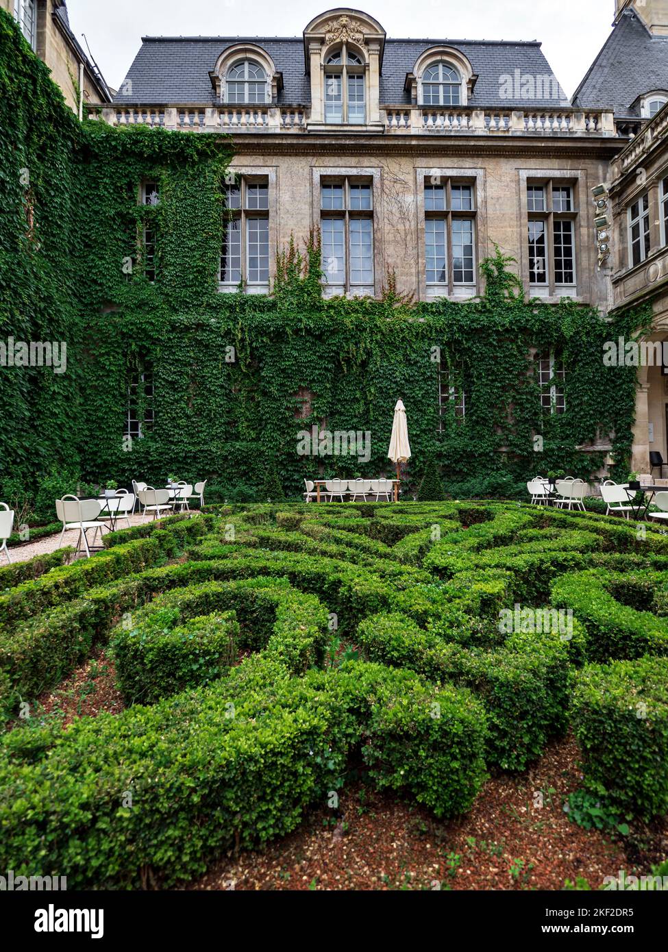 Regular garden with trimmed labyrinths in the Petit Palais in Paris ...