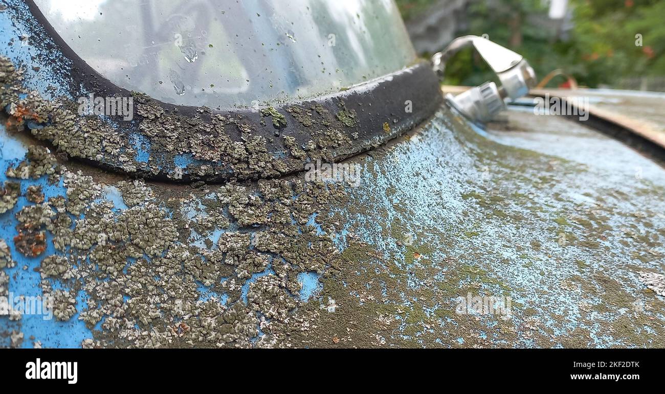 Close up shot of a small layer of moss and rust that grows on top of ...