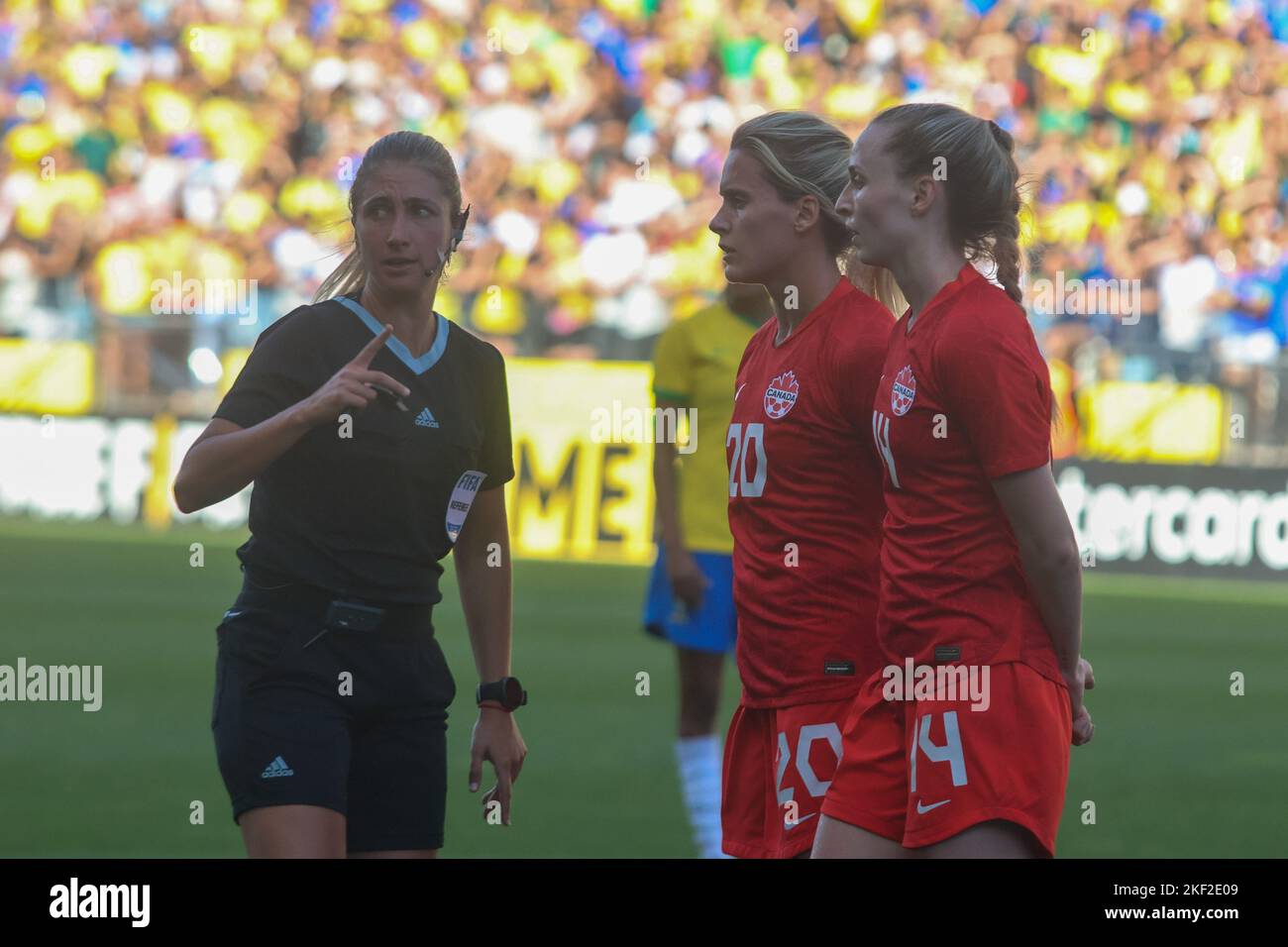 Sao Paulo, Brazil. 15th Nov, 2022. SÃO PAULO, SP - 15.11.2022: BRASIL X ...