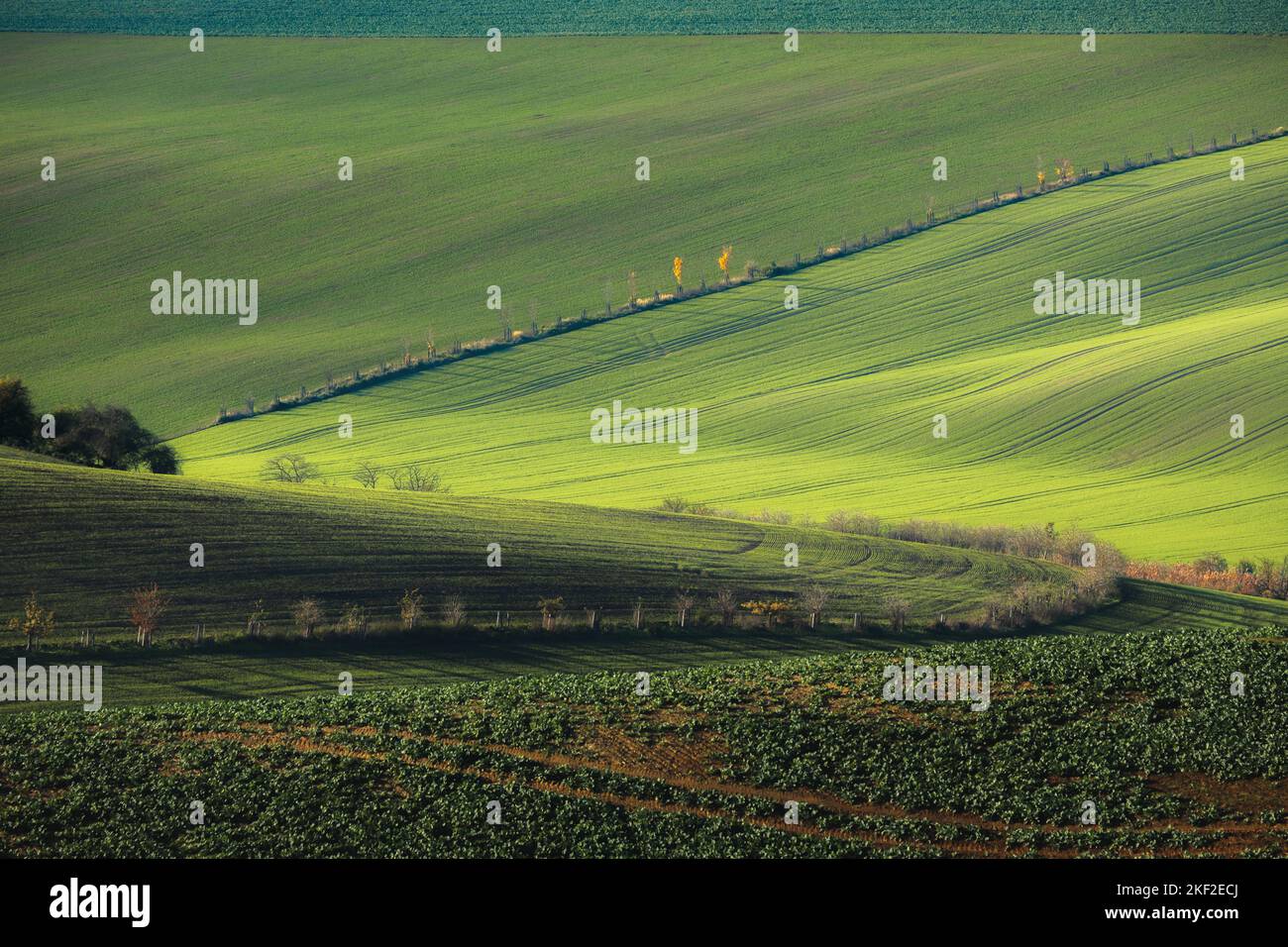 Layers and patterns in the agricultural cropland in the rolling hills ...