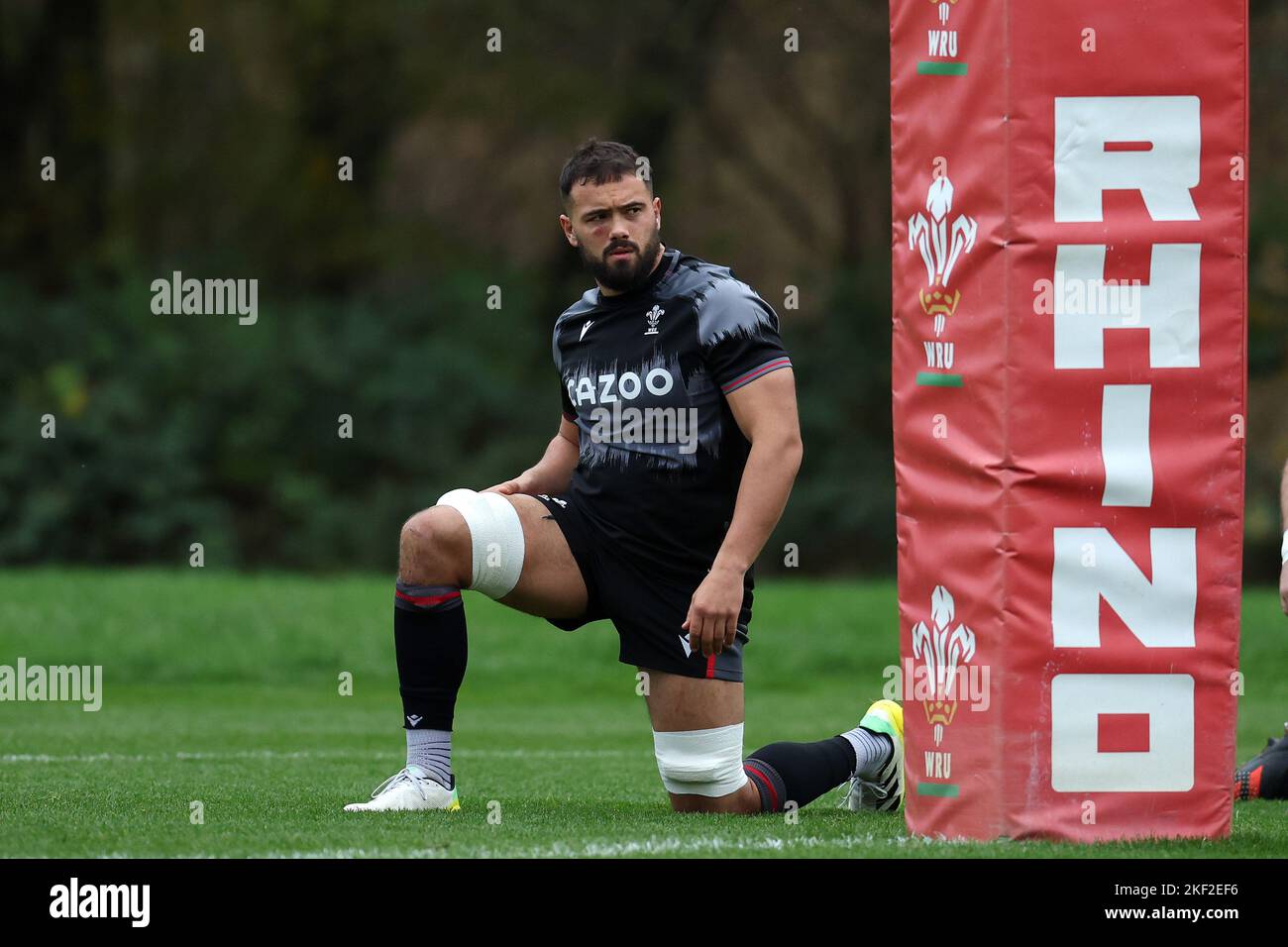 Josh macleod 2022 hi-res stock photography and images - Alamy