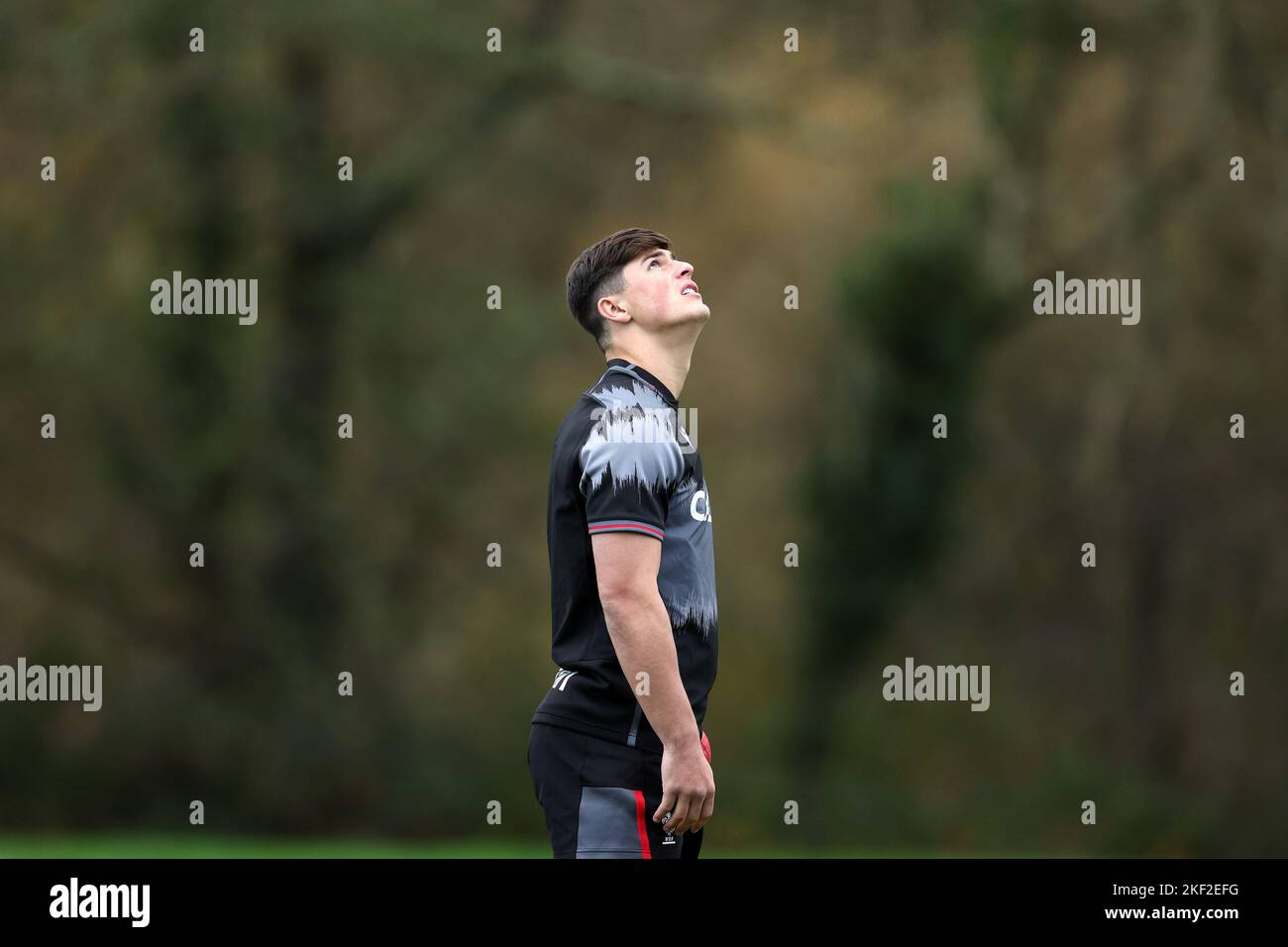 Louis rees zammit wales training hi-res stock photography and images ...