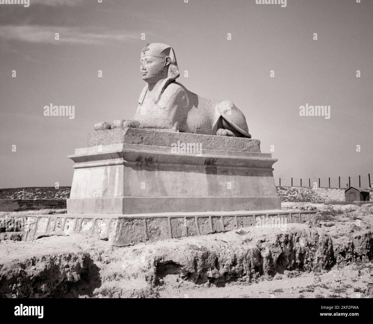 1950s ONE OF TWO PINK GRANITE SPHINX THAT SIT ON EITHER SIDE OF POMPEY ...