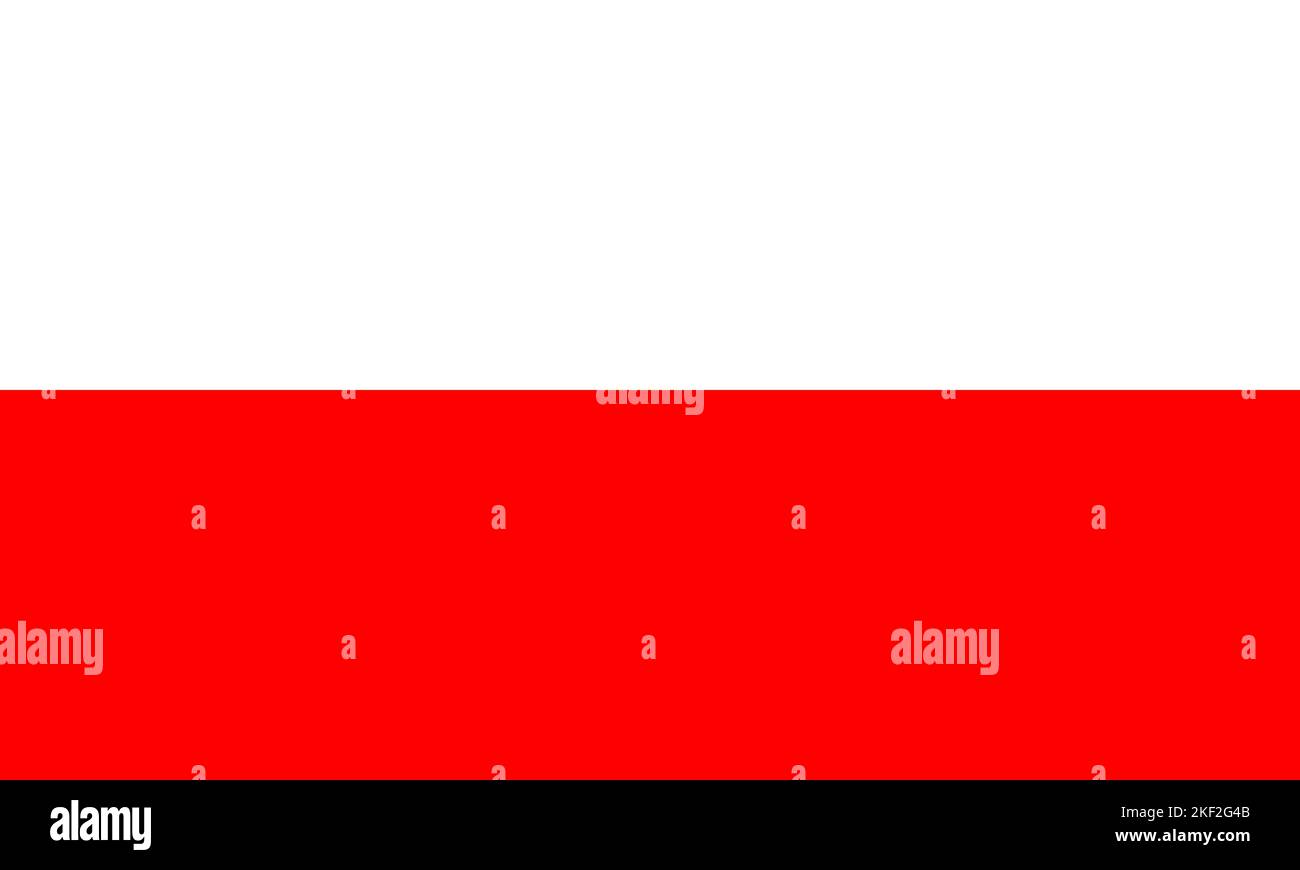 Poland flag with fabric texture. Poland flag is depicted on a sports ...
