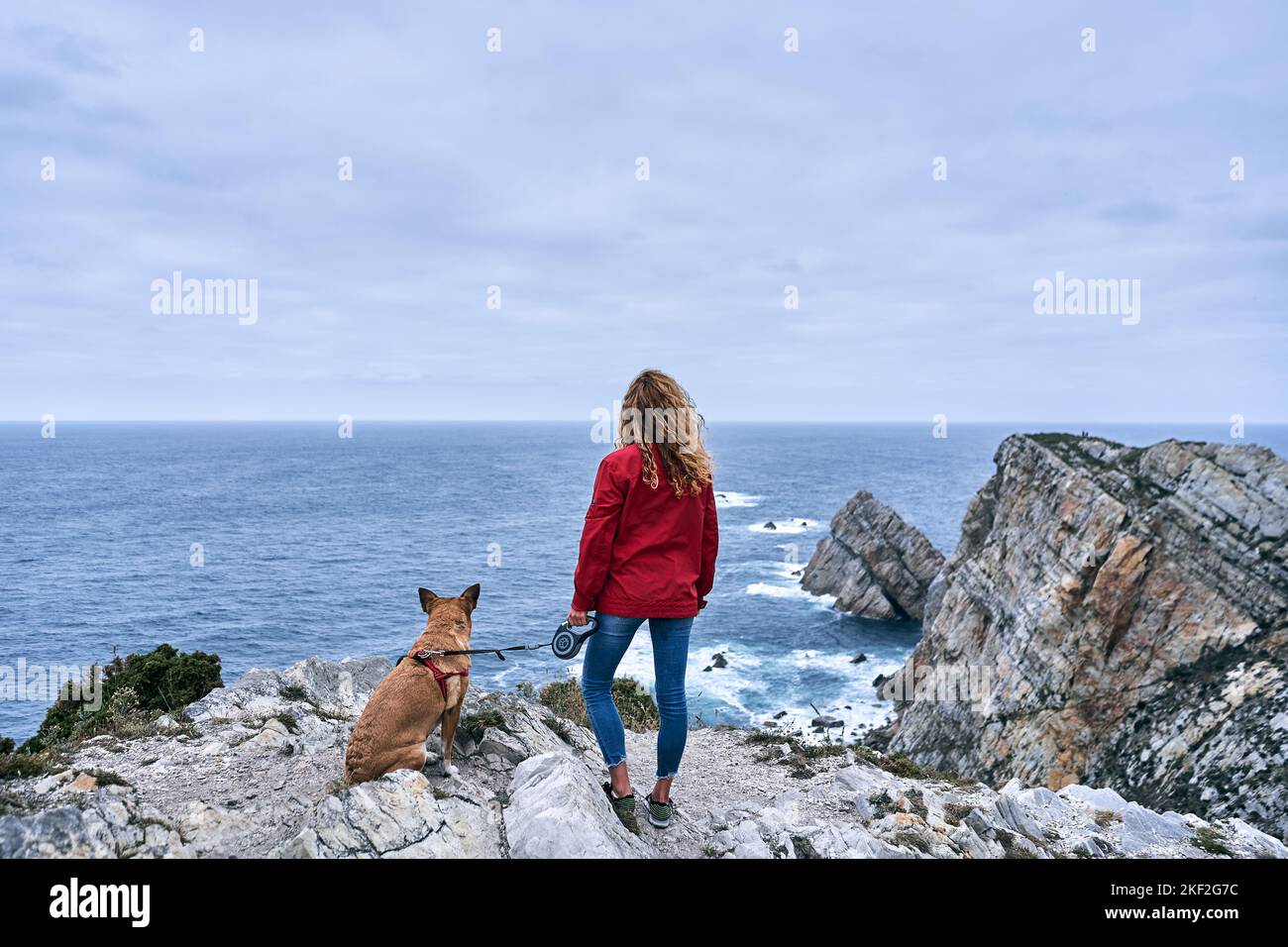 caucasian girl with a big dog sitting on a leash contemplating the ...