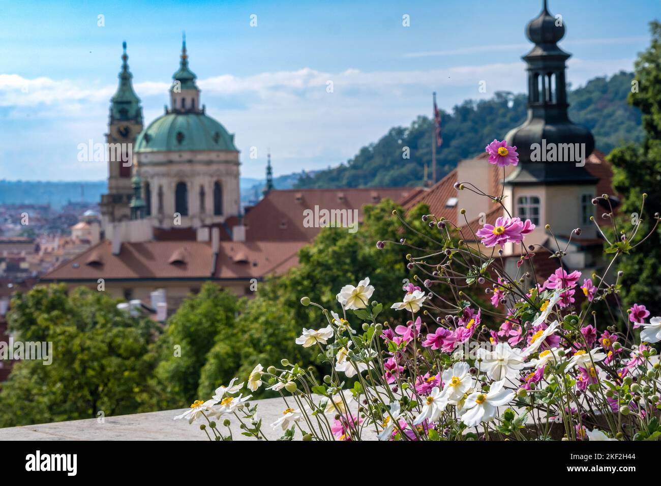 Prague, Czech Republic - 4 September 2022: pink and white flowers with ...
