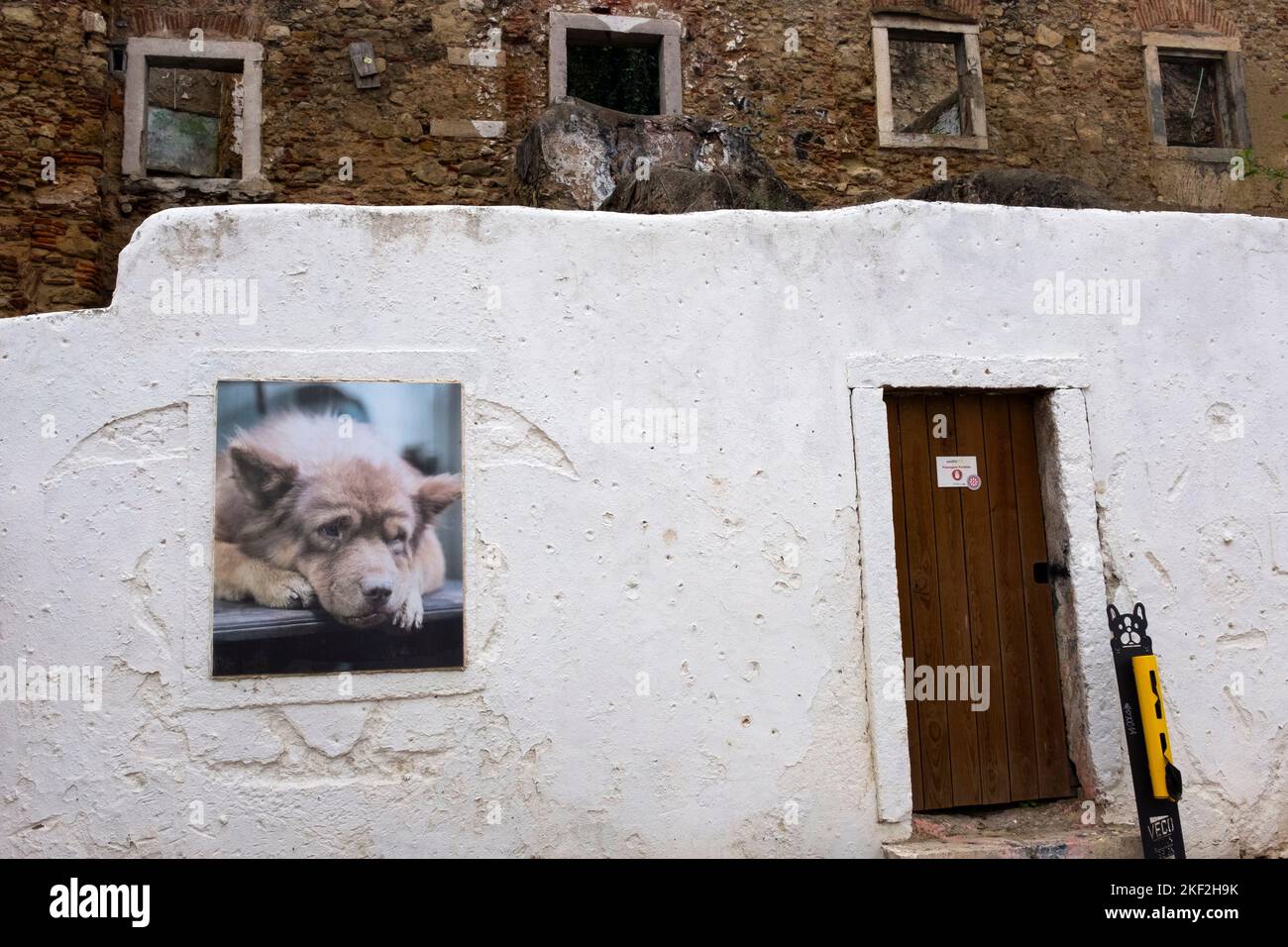 Dog exercise park near Castelo de S. Jorge, Lisbon Stock Photo - Alamy